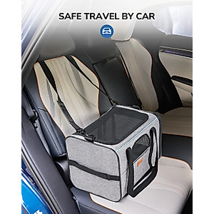 Morpilot Cat and Dog Carrier with Detachable Wheels - Airline Approved Rolling Carrier for Small Pets and Cats - Foldable Pet Travel Bag