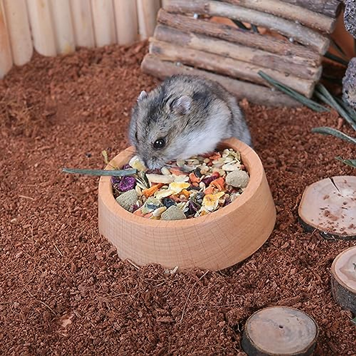 Rubor Hamster Food Bowl, Wooden Guinea Pig Food Dish Feeding Bowl for Small Animal Dwarf Hamster Syrian Gerbil Mice Degu Chipmunk Squirrel Hedgehog (Large)