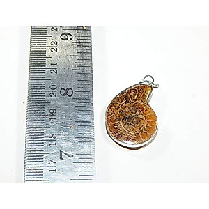 XUETZALCOATL Golden Shaligram Pendant Enerziged 21.1ct