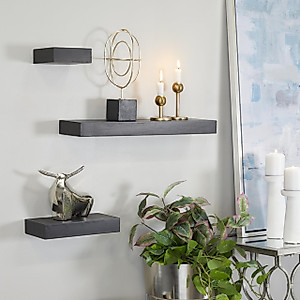 CosmoLiving by Cosmopolitan Wood 3 Shelves Wall Shelf, Set of 3 24", 12", 6"W, Black