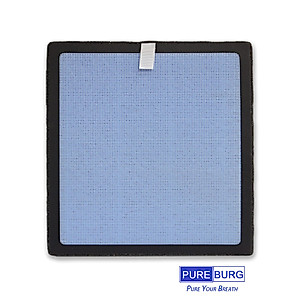 PUREBURG Replacement Filters Compatible with YIOU R1 P1802 Air Purifier & Elechomes P1801 Air Purifier,2-Pack H13 True HEPA + Activated Carbon 2-in-1