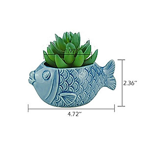 VanEnjoy 5" Ceramic Succulent Pot, Cute Ocean Blue Seashell Series, Conch Shaped Cactus Pot Planter, Flower Pot, Pottery Bonsai Pot (Seashell M)