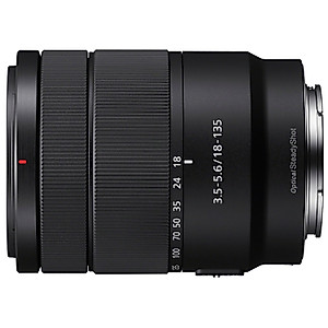 Sony a6600 Mirrorless Camera 4K APS-C ILCE-6600MB with 18-135mm F3.5-5.6 OSS Lens Kit and Deco Gear Case + Extra Battery + Flash + Wide Angle & Telephoto Lens + Filter Kit + 64GB Accessories Bundle