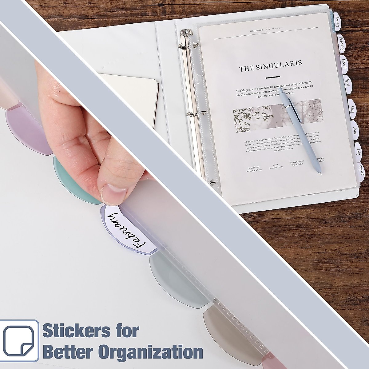 Mr. Pen- Clear Sheet Protectors with Binder Tabs, 8 Tabs, 2 Sets, Clear Binder Sheet Protectors, Clear Plastic Dividers for 3 Ring Binder, Insertable Index Page Divider Multicolor Tabs