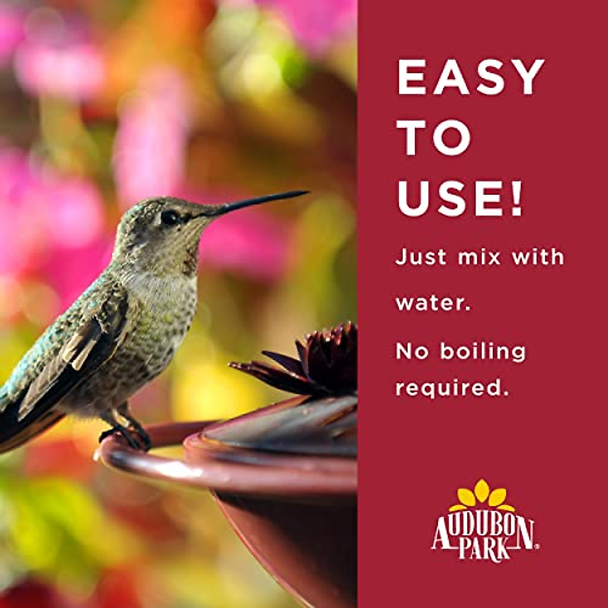 Audubon Park Hummingbird Food Wild Bird Nectar, Hummingbird Food for ...