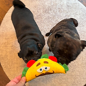 SPOT Fun Food Taco Plush Dog Toy with Squeaker - Interactive Soft, Squeaky Toy for Dogs and Puppies, Keeps Pets Entertained, Cute and Funny Chew Toy Made with Soft Fabric - 6in