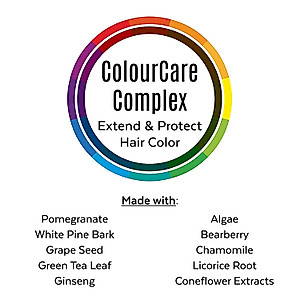 ALOXXI Reparative Shampoo + Conditioner Set, 33.8 oz