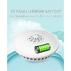 Ecoey Fire Alarms Smoke Detectors, 10-Year Smoke and Heat Detector with Built-in Battery for Home Bedroom, Smoke Detector and Heat Alarm with Easy Install and Test Button, FJ192, 2 Packs