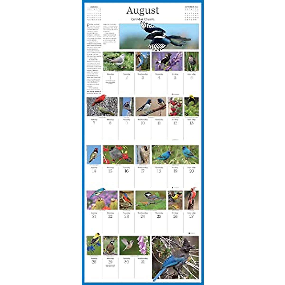 Audubon Songbirds and Other Backyard Birds Picture-A-Day Wall Calendar 2022: Your Daily Sighting of Songsters that Bring Color, Joy, and Sweet Melodies.