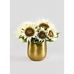 Serene Spaces Living Raw Brass Vase, Brass Decorative Accents Use as Brass Planter for Plant, Gold Flower Vase for Wedding or Event Centerpiece, Metallic Pot for Home, Measures 6" Tall & 5.5" Diameter