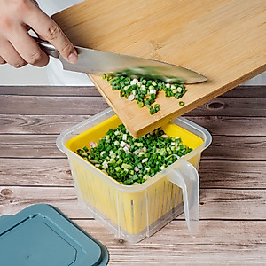 Star Ayze Berry Keeper Containers with Removable Drain Basket - Pack of 4 Fruit And Vegetable Produce Saver Container for Refrigerator Organizer Bin