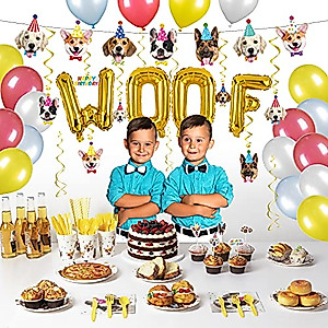 DECORLIFE Dog Party Decorations, Dog Themed Birthday Party Supplies Serves 16, Includes Paper Plates Set, Banner, Hanging Swirls, Total 178PCS, for Puppy Birthday Decorations