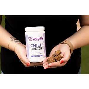 Wagsly Chill: Calming Chews for Dogs | Thiamine, Tryptophan, Lemon Balm, Green Tea Extract – 100 Count for Balanced Mood & Relaxation | Natural Calming Treats for Dogs