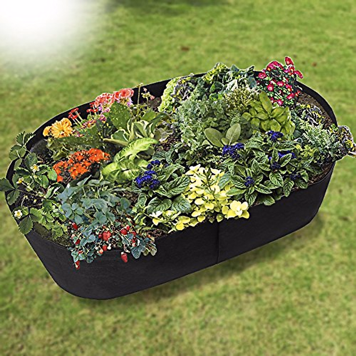 Fabric Raised Planting Bed, Garden Grow Bags Herb Flower Vegetable Plants Bed Rectangle Planter 2‘x4' (3ft x 6ft) (2ft x 4ft)