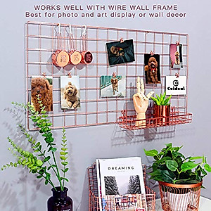 Small Rose Gold Bulldog Clips - Coideal 30 Pcs Mini Metal Binder Paper Hinge Clip Office Clamps for Picture Photos (22mm)