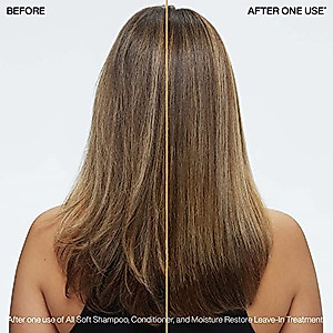 REDKEN All Soft Moisture Restore Leave-In Treatment | Hyaluronic Acid Primer| Treatment for Dry and Brittle Hair | Humidity, Heat and Frizz Protection | For Soft and Smooth Hair | 5.1 Fl Oz