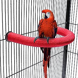 FrgKbTm Parrot Perch Stand, U Shape Quartz Sands Bird Stick Paw Grinding Rough-surfaced Large Bird Perches for Parakeets,Macaw,Parrots Cages Toy (Red Large)