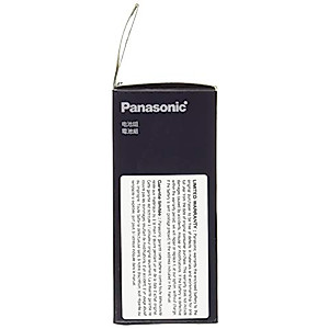 Panasonic DMW-BLG10 Lithium-Ion Battery Pack (Black)