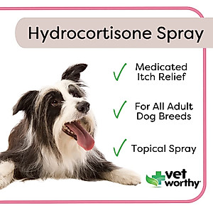 Vet Worthy Hydrocortisone Spray for Dogs - Medicated Itch Relief for Hot Spots, Eczema, Bites, Skin Irritations - Dog Wound Care Spray with Hydrocortisone Acetate and Aloe Vera - 4oz.