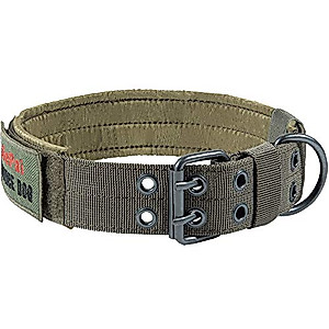 JiePai Military Dog Collar Adjustable Nylon k9 Tactical Dog Collar with D-Ring & Buckle Collars for Medium Large Dogs (Ranger Green,L)