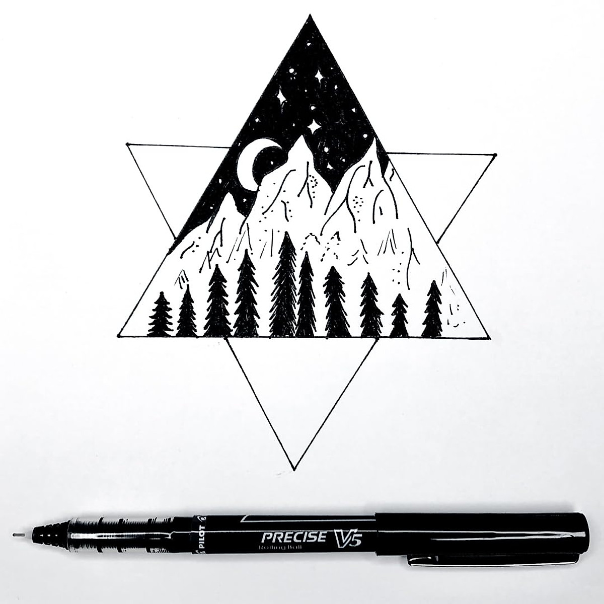 PILOT Precise V5 Stick Liquid Ink Rolling Ball Stick Pens, Extra Fine Point (0.5mm) Black Ink, 12-Pack (35334)