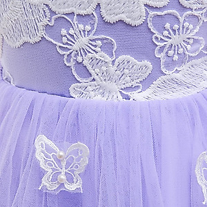 Baby Girls Birthday Dress Infant Ruffled Butterfly Embroidered Special Occasion Dresses (80/12-18M, Purple)