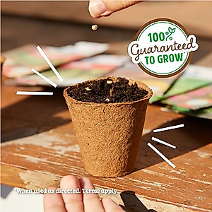 Back to the Roots Organic Seed Bundle - Herbs and Vegetables Variety Pack for Planting - Assorted Non-GMO Seed Mix for Beginner Indoor and Outdoor Gardening, (Pack of 20)