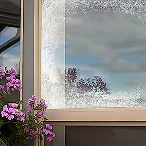 WINDOWALERT Stop Bird Attack (9oz) - Temporary Spray Coating Eliminates Reflection of Bird in Window - Made in The USA