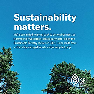 Hammermill White Cardstock, 110 Lb, 8.5 x 11 Colored Cardstock, 1 Pack (200 Sheets) - Thick Card Stock, Made in the USA, 168380R