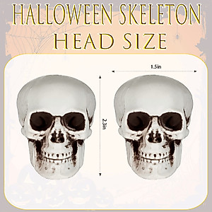hanaiette 10 Pieces Mini Halloween Skulls Heads Skull Decor for Halloween Party, Halloween Decor Props, Table Decor Outdoor Halloween Home Decor Gift