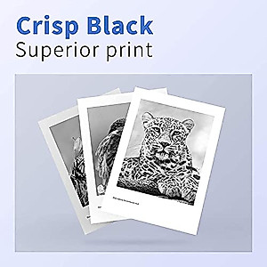 myCartridge SUPRINT 202XL Ink Cartridge Remanufactured Ink Cartridge Replacement for Epson 202XL 202 XL Black use with Expression Home XP5100 XP-5100 Workforce WF-2860 WF2860 Printer 2 Black 202