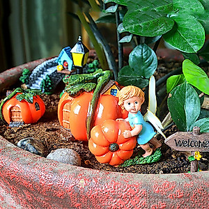 Danmu 7 Pack Pumpkin and Fairy Set Miniature Figurines, Fairy Garden Accessories, Fairy Garden Supplies, Fairy Garden Animals for Fairy Garden, Micro Landscape, Plant Pots, Bonsai Craft Decor