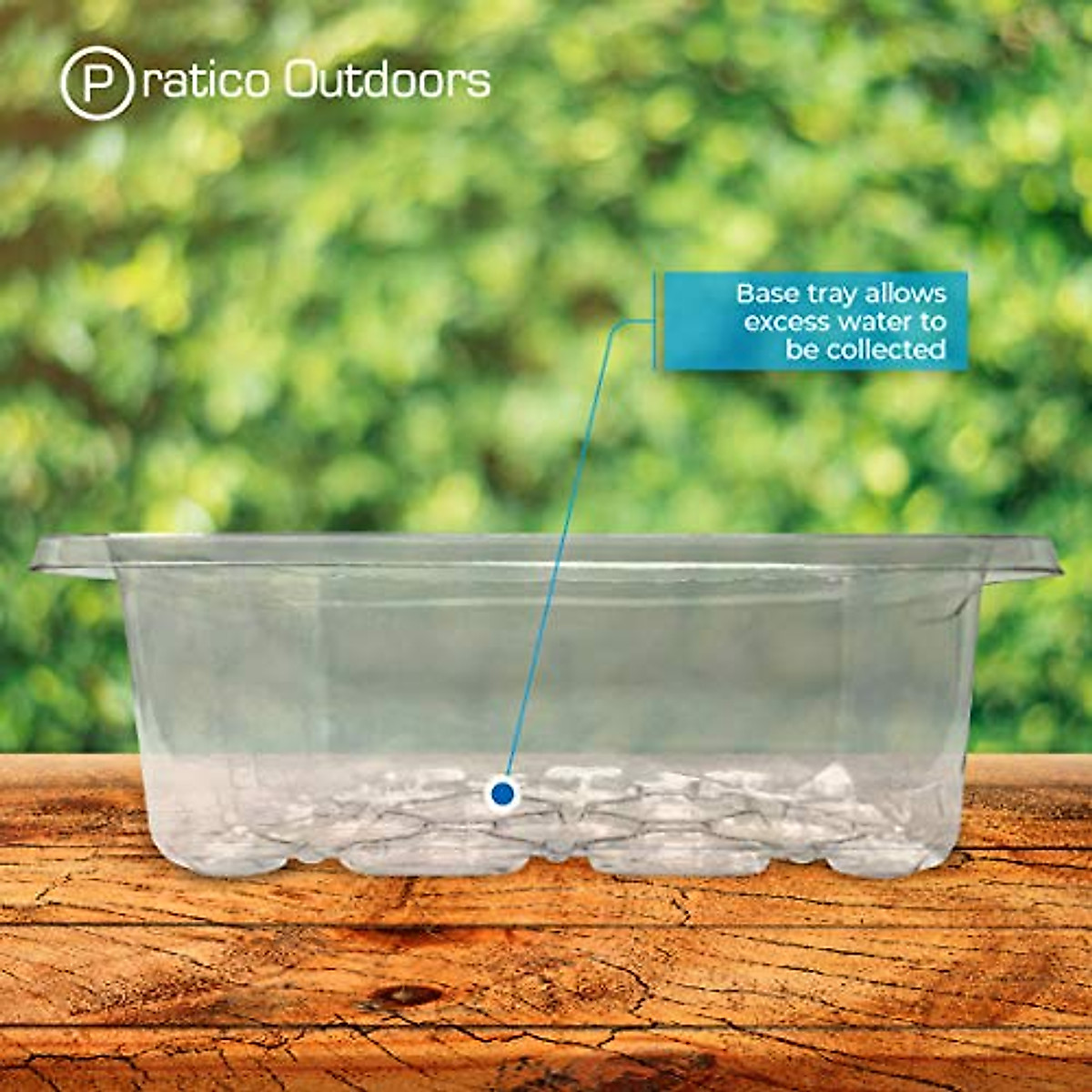 Pratico Outdoors 12 Cell Plastic Seed Starter Tray Kit, Clear, 5 Pack