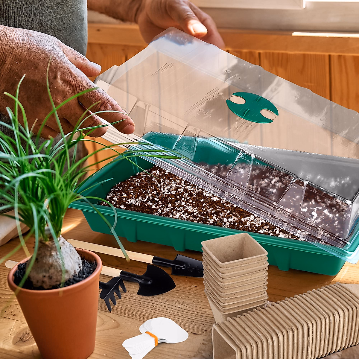 Hahood 6 Pack Seed Starter Tray Kit with 120 Square Peat Pots for Seedlings, Including Plants Labels, Planting Tools, Growing Trays Plastic Germination Tray Paper Starter Pods for Plant Seeds, Green