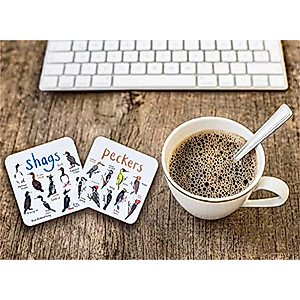 Set of 6 Bird Pun Coasters, 2023 New Square Drinks Coaster, Thicken Funny Bird Coasters Suitable for Home Kitchen Bar Table Decorations, Gifts for Bird Lovers