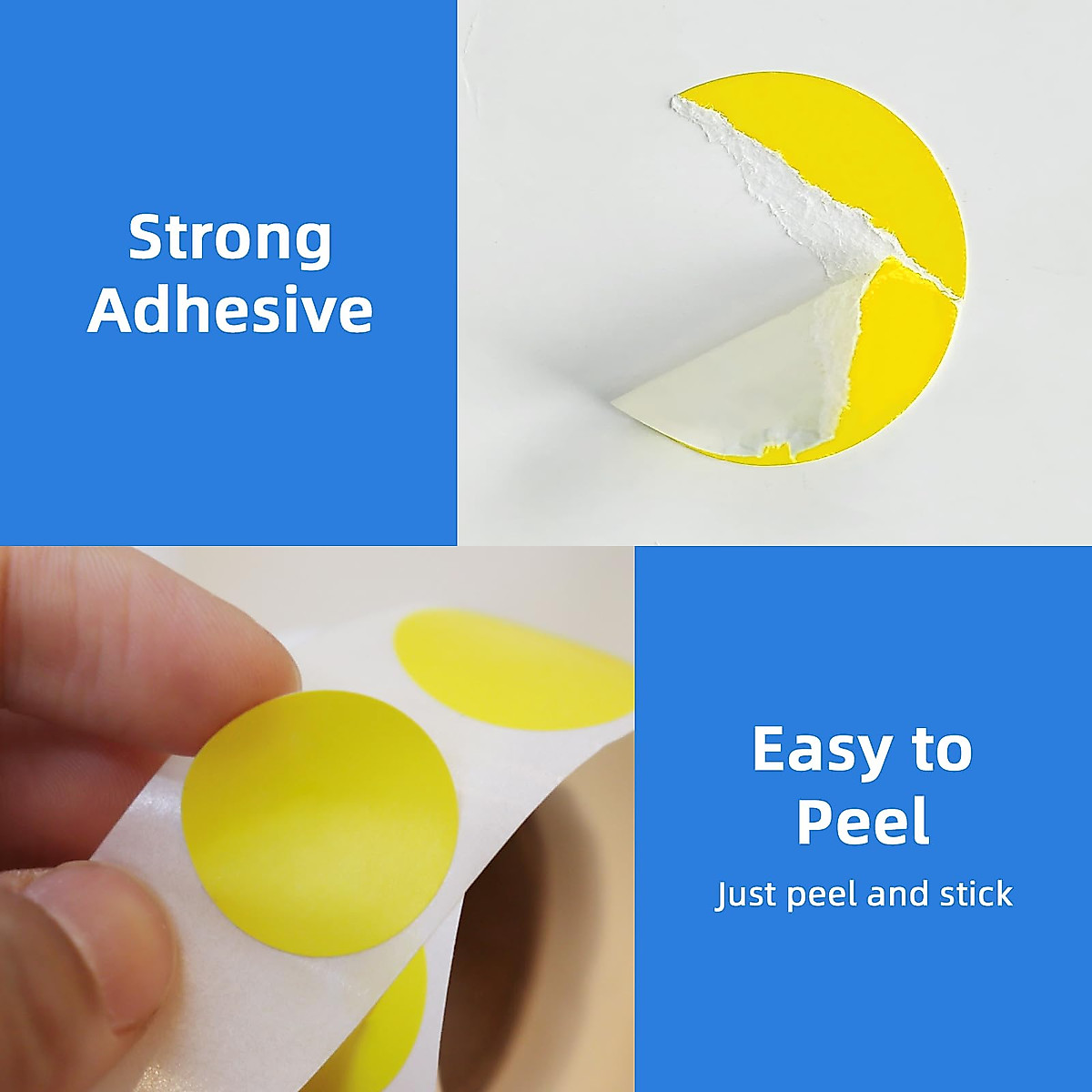 3000 PCS Printholic 3/4" Round Color Coding Circle Dot Sticker Labels 6 Color Includes Bright Yellow Green Red Pink Orange Blue(500 Labels/Roll)