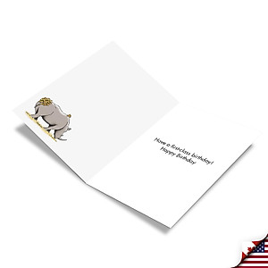 NobleWorks - 1 Hilarious Cartoon Birthday Card with Envelope - Funny Cartoons, Bday Congrats Greeting - First-Class Birds C3347BDG