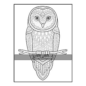 100 Animals: An Adult Coloring Book with Lions, Elephants, Owls, Horses, Dogs, Cats, and Many More!