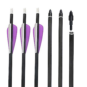 IRQ Archery 31Inch Carbon Arrow Practice Hunting Arrows with Removable Tips for Compound & Recurve Bow(Pack of 12)