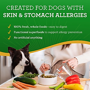 Dr. Harvey's Specialty Diet Allergy Turkey Recipe, Human Grade Dog Food for Dogs with Sensitivities and Allergies, Trial Size (5.5 Ounces)