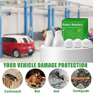 12Pack Rodent Repellent Indoor Outdoor Peppermint Oil to Repel Mice and Rats, Effective Mouse Repellent for Yard/Camping/Kitchen/Garage