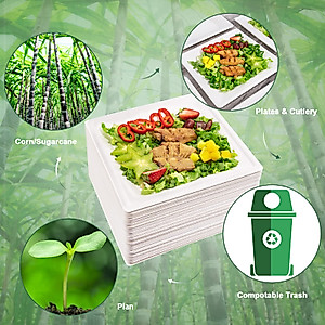 SUT 10-Inch Compostable Paper Plates, 100 PCS Square Biodegradable Bagasse Plates, Heavy-Duty Microwaveable Plates, Eco-Friendly Natural Disposable Plates, Made of Sugarcane Fibers, for Party, Picnic
