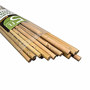 Mininfa Natural Bamboo Stakes 5 Feet, Eco-Friendly Garden Stakes, Plant Stakes Supports Climbing for Tomatoes, Trees, Beans, 20 Pack