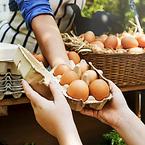 WISHOPE 40 Pieces Paper Egg Cartons for Chicken Eggs Pulp Fiber Egg Tray Holder Bulk Holds 6 Count Eggs Family Farm Market Travel Egg Storage Containers Included 40 Labels Brown