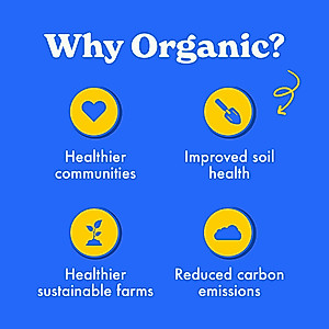 MadeGood Soft Baked Chocolate Chip Mini Cookies, Gluten Free & Safe For School Snacks, 30 Count