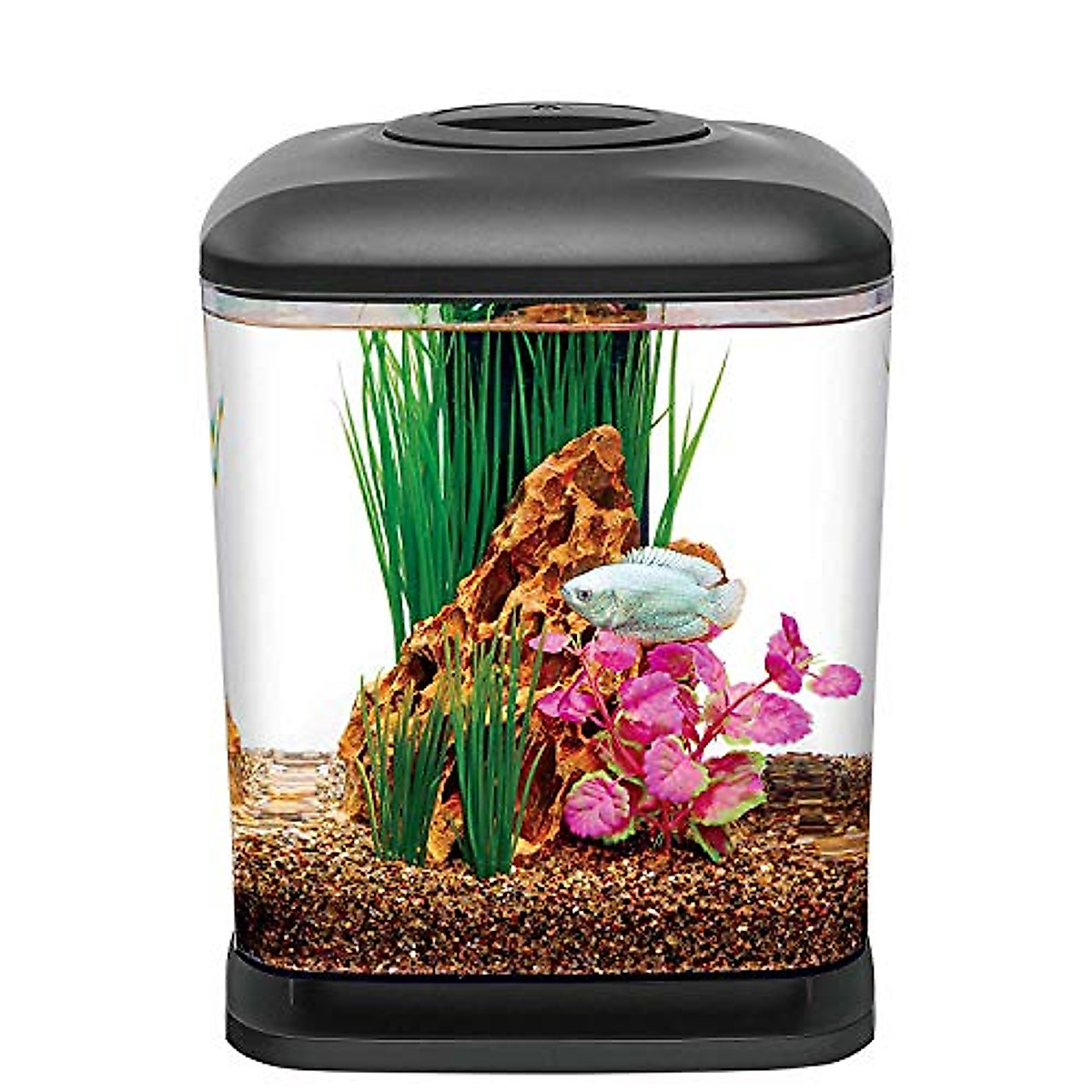 Aqueon Mini Cube Kit Black 1.6 Gallon 1.6 Gallons