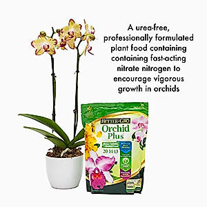 Sun Bulb Company 8303 Better Gro Orchid Plus, 16-Ounce