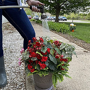 65ft Retractable Hose Reel Gray