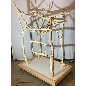 ExoticDad Large Bird Perch - Customize Your Perch Designed Natural Dragonwood Bird Perch on Wheels Stand for Parrots, Birds, Parakeets, Monkeys, Cockatiel, African Grey, Conure (2x4 ft B - 5x6 ft H)