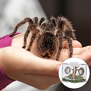 VILLCASE Glass Containers Spider Terrarium, Acrylic Reptile Breeding Box Jumping Spider Enclosure with Dropper Tongs for Tarantula Scorpion Sling Snake Gecko Amphibia